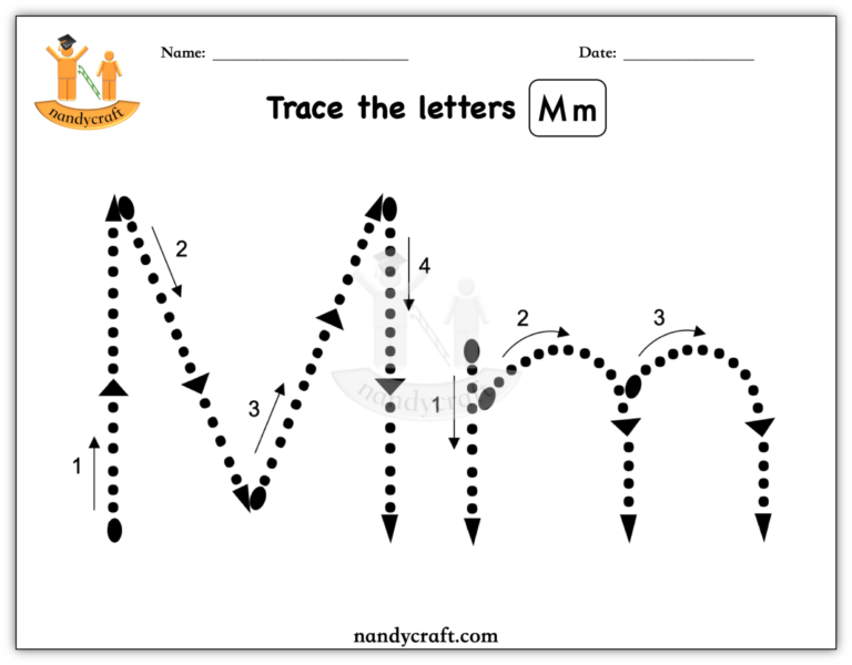 M | Tracing | NandyCraft