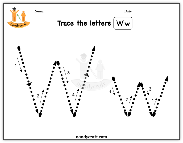 W | Tracing | NandyCraft