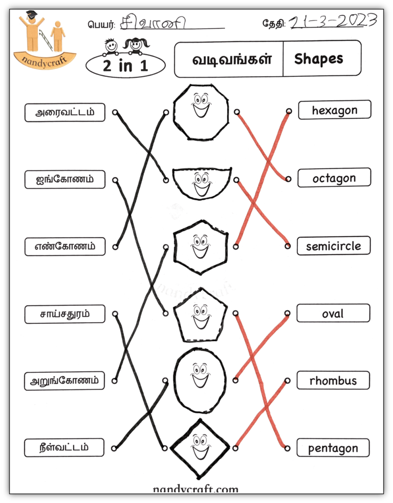 வடிவங்கள் | Shapes | 2 in 1 | NandyCraft