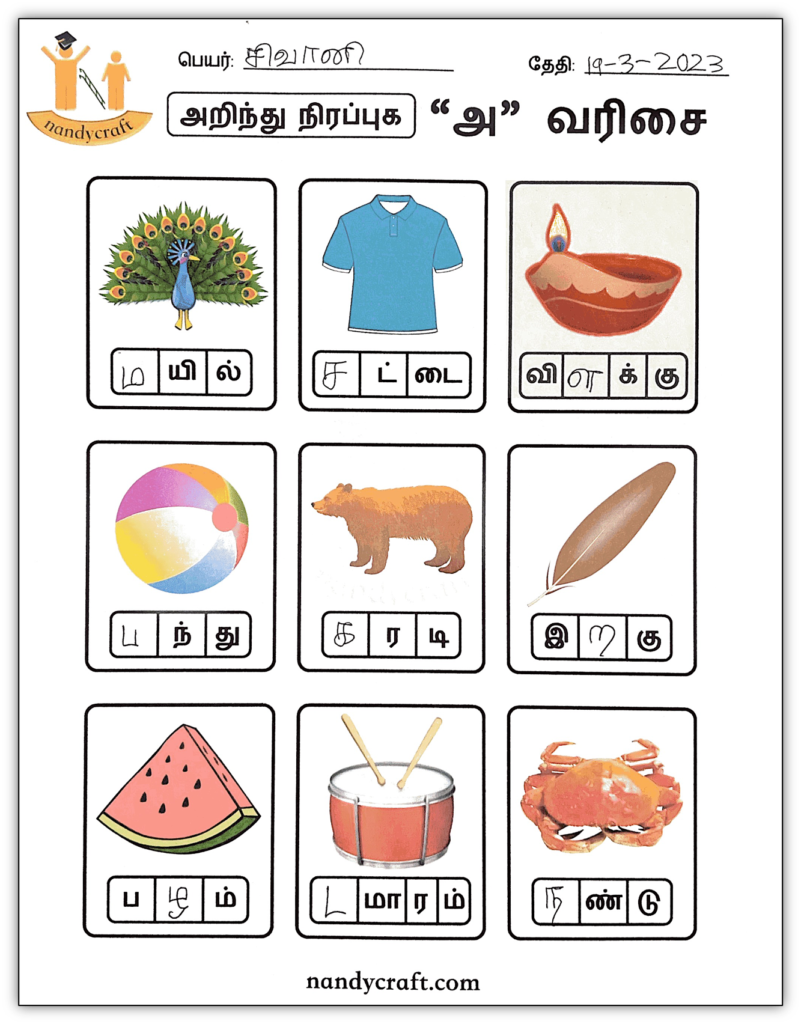 க-ன | "அ" வரிசை | அறிந்து நிரப்புதல் | NandyCraft