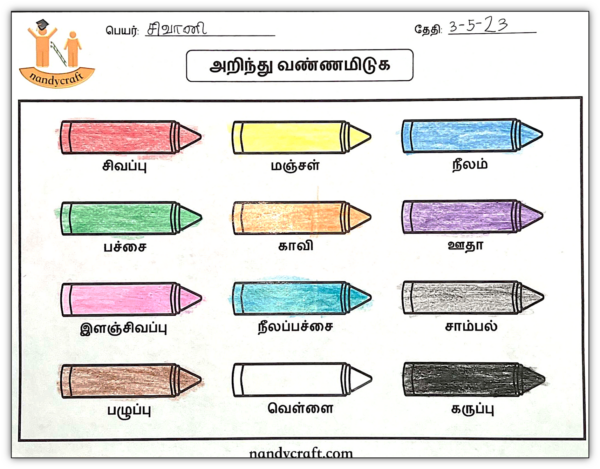 வண்ணங்கள் | அறிந்து வண்ணமிடுதல் | NandyCraft