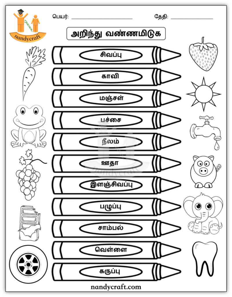 பொருள்கள் | அறிந்து வண்ணமிடுதல் | NandyCraft